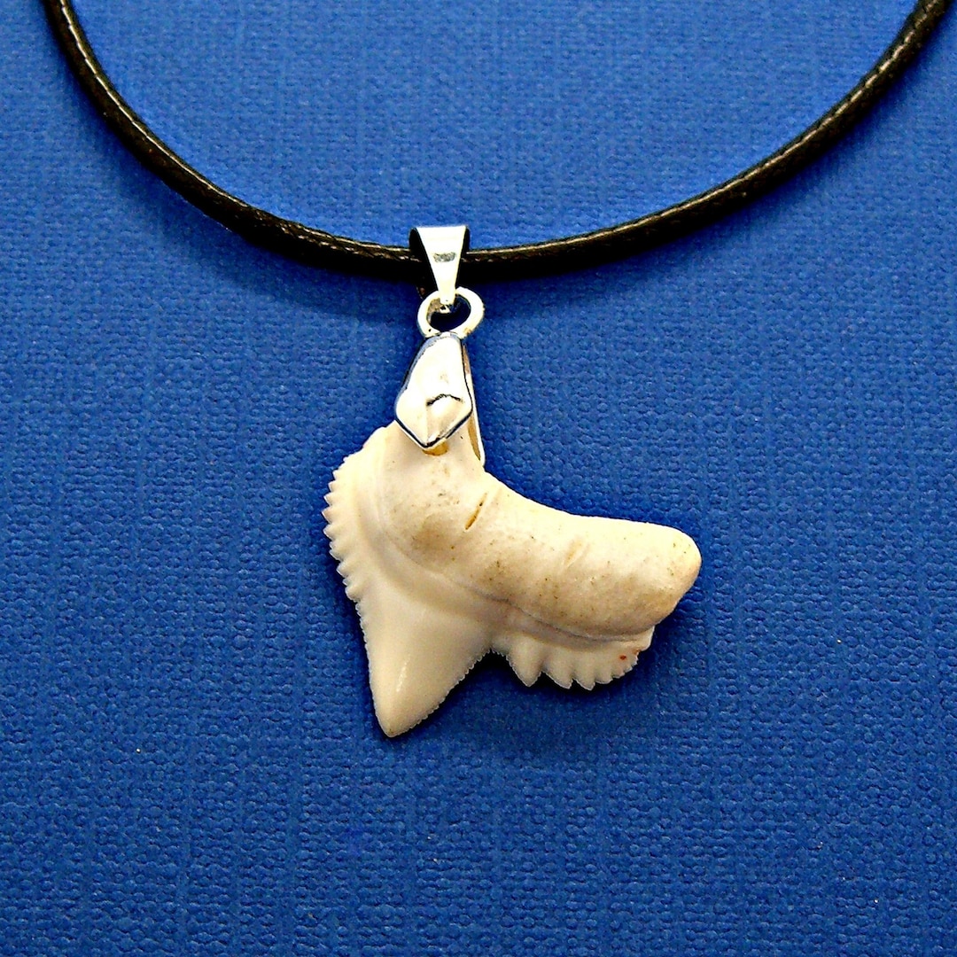 LG Shark Tooth Adjustable Slide Necklace Upper Jaw Tooth Pendant on a ...