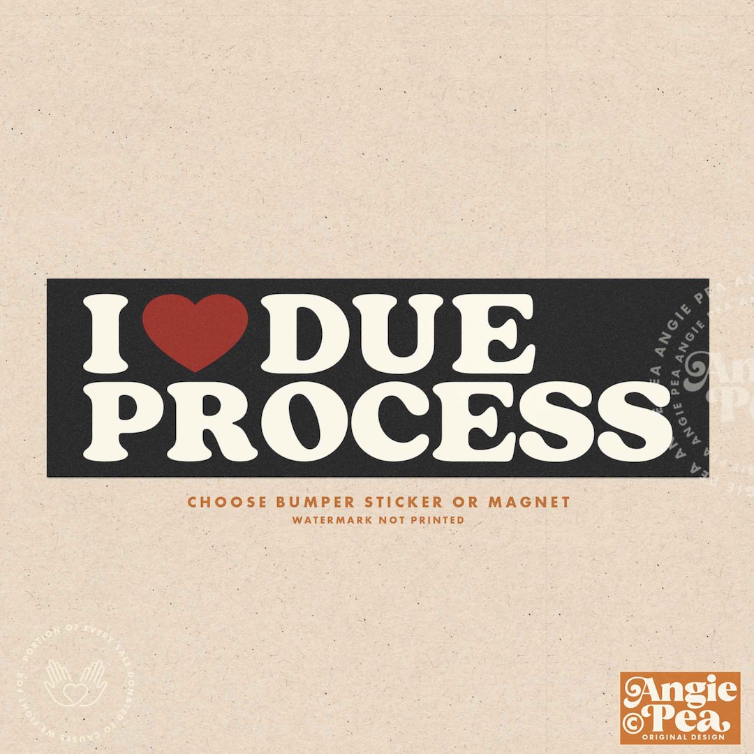 I Love Due Process, Due Process Sticker, Protect Immigrants - Etsy