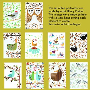 Feathered Friends Birds Postcard Set | Snail Mail Greetings | Make a ...