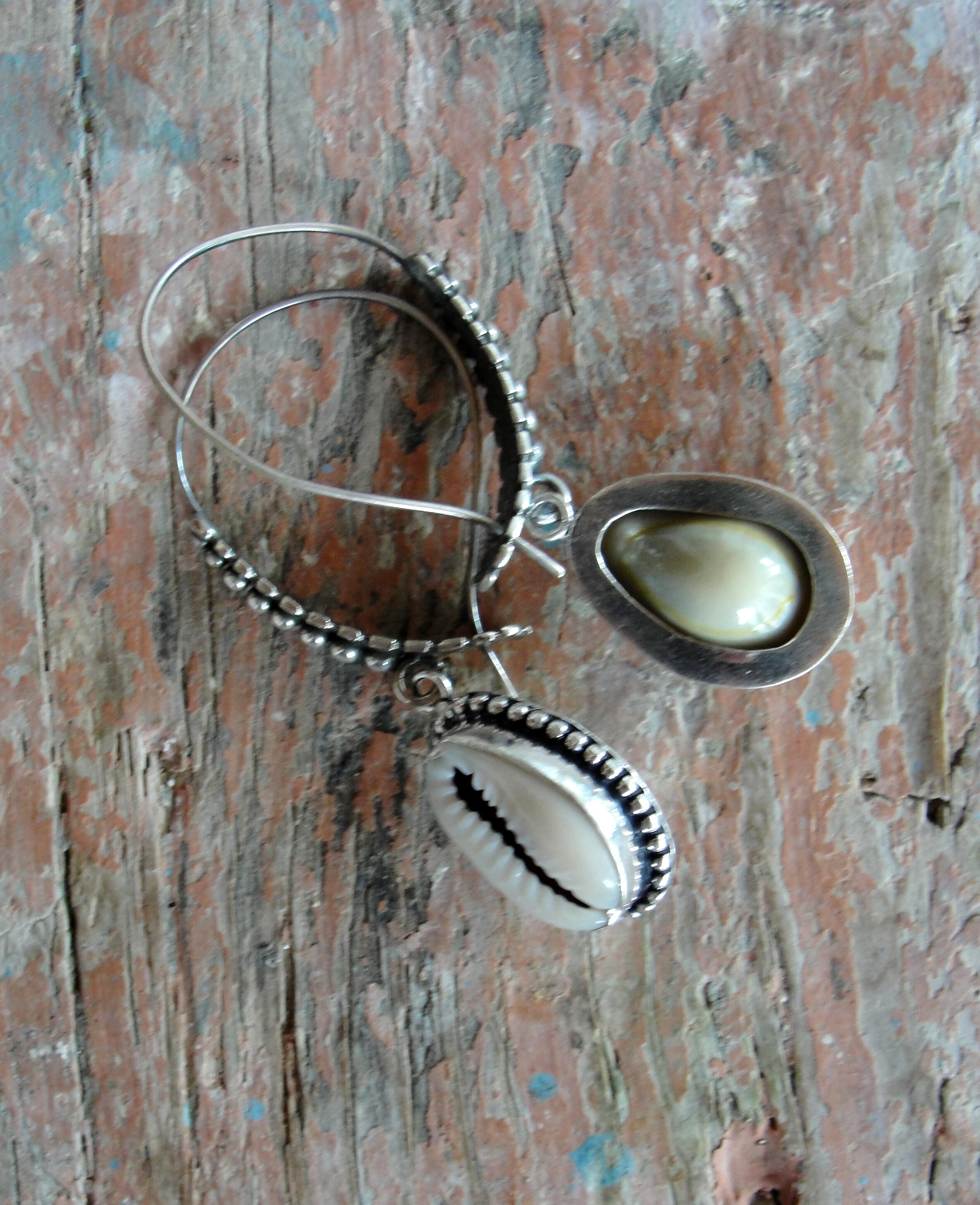 Cowry Shell Earrings Sterling Silver Cowrie Seashell Jewelry | Etsy