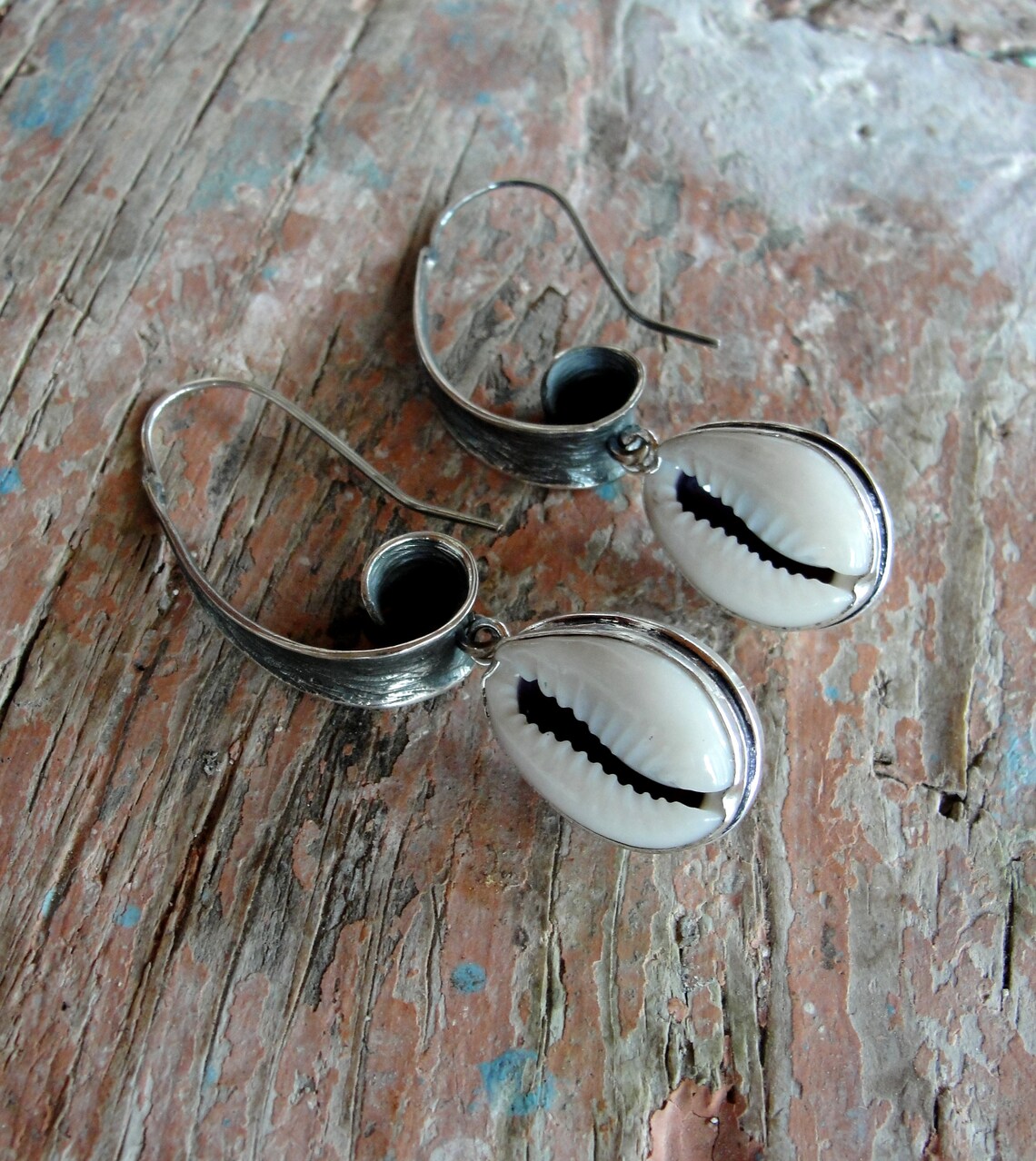Cowry Shell Earrings Sterling Silver Cowrie Seashell Jewelry - Etsy