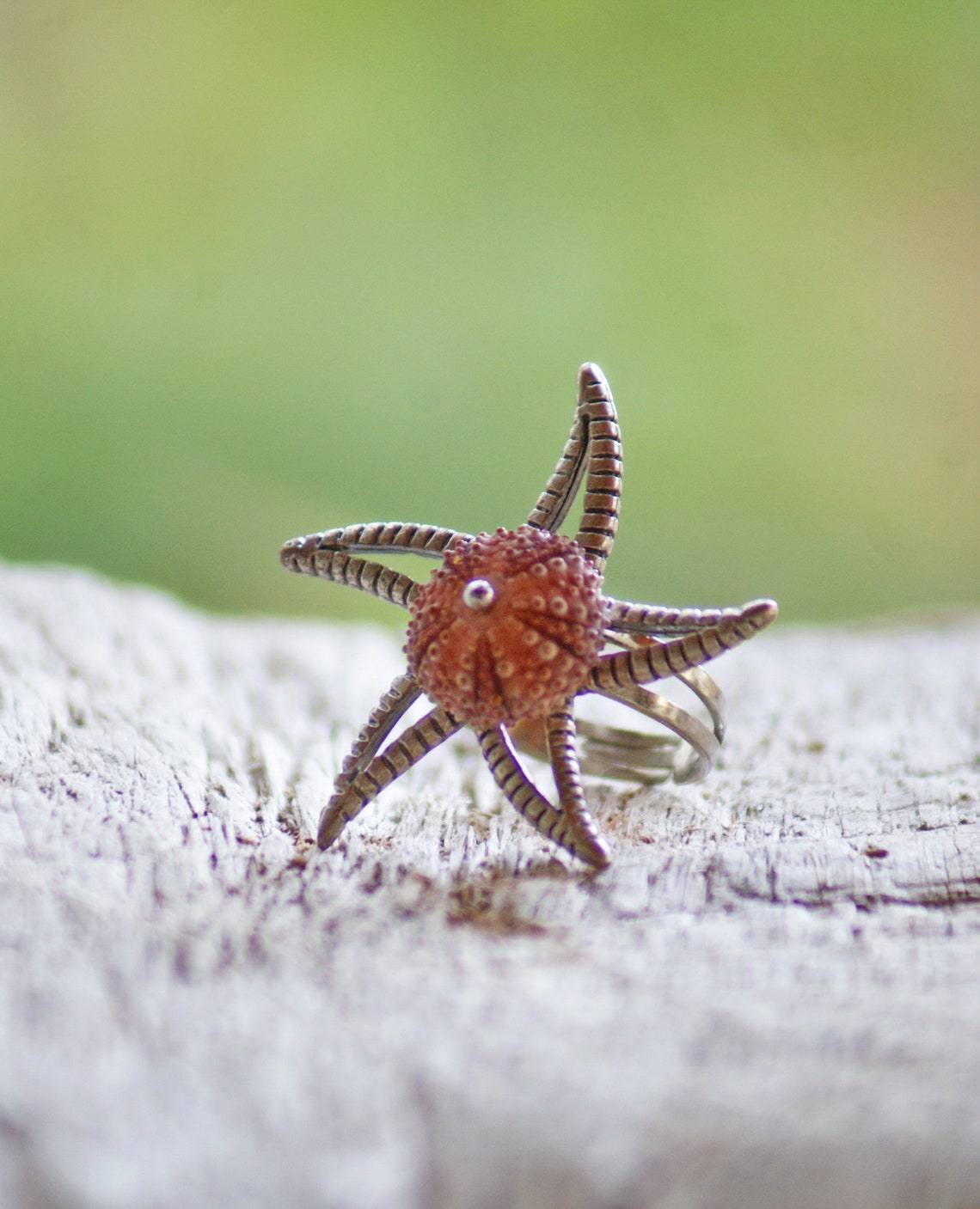 Sea Urchin Starfish Ring Beach Jewelry - Etsy