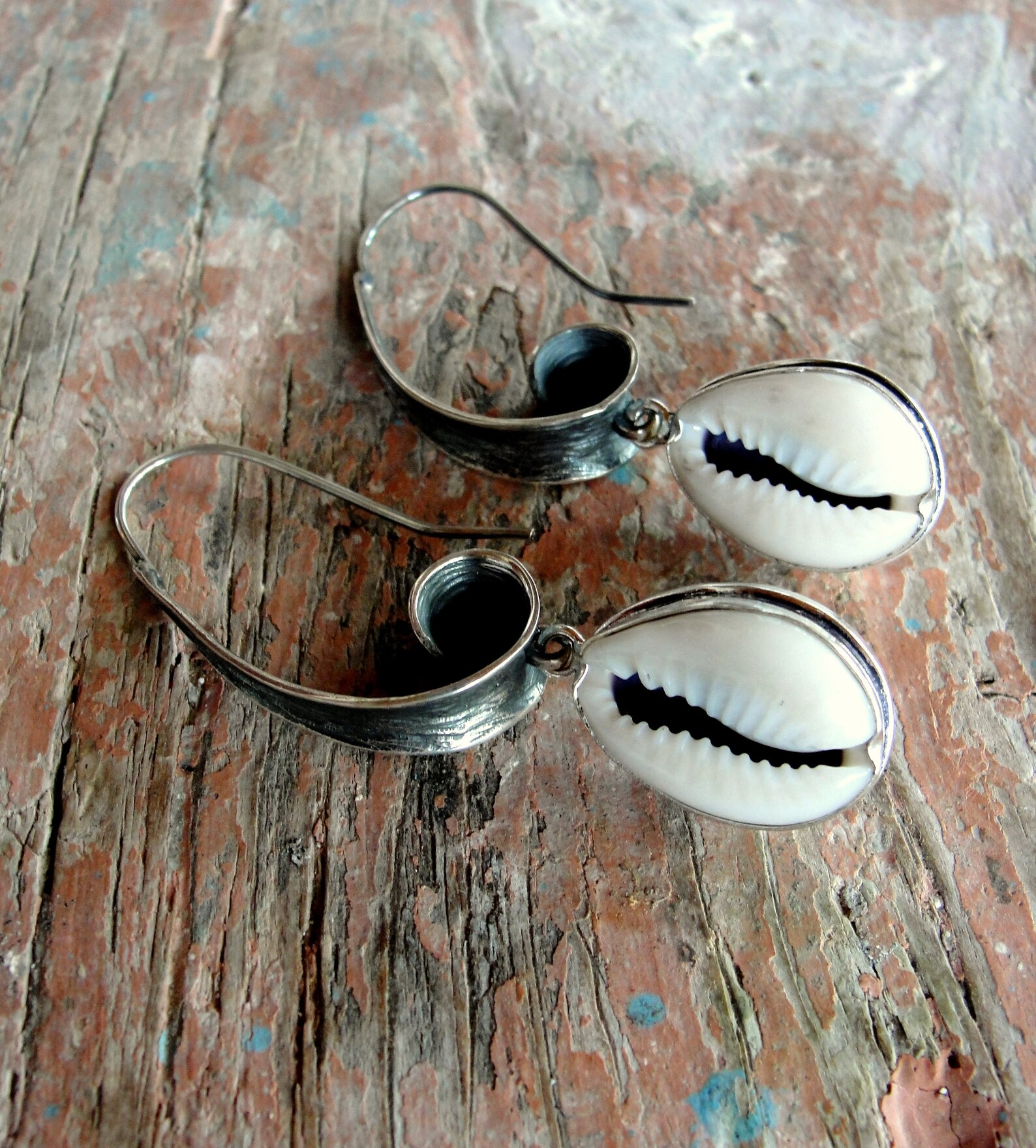 Cowry Shell Earrings Sterling Silver Cowrie Seashell Jewelry - Etsy