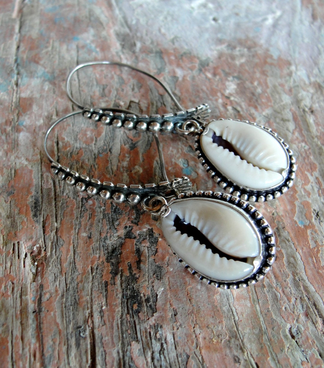 Cowry Shell Earrings, Sterling Silver Cowrie Seashell Jewelry - Etsy