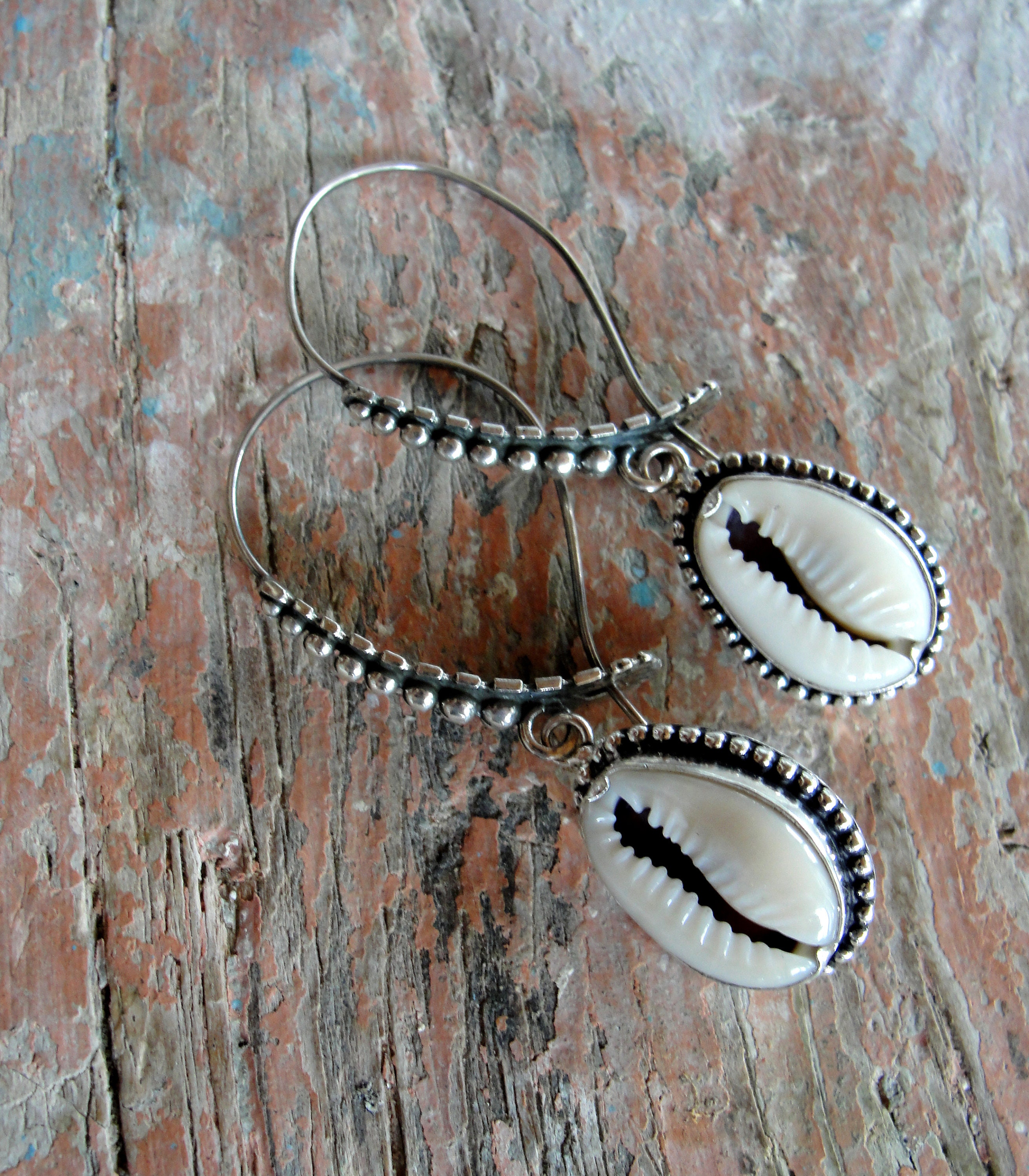 Cowry Shell Earrings Sterling Silver Cowrie Seashell Jewelry - Etsy
