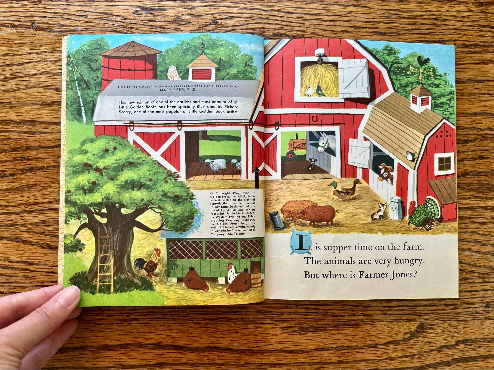 The Animals of Farmer Jones A Little Golden Book 1953 - Etsy