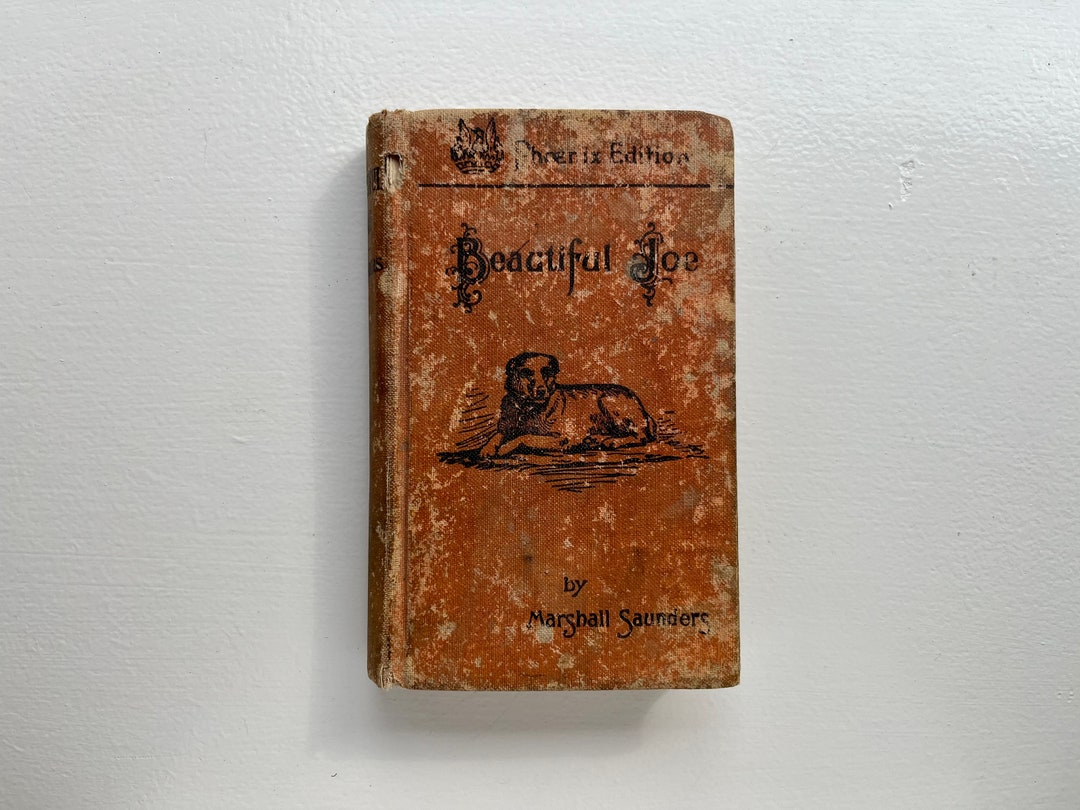 Beautiful Joe by Marshall Saunders Phoenix Edition 1893 First Edition ...