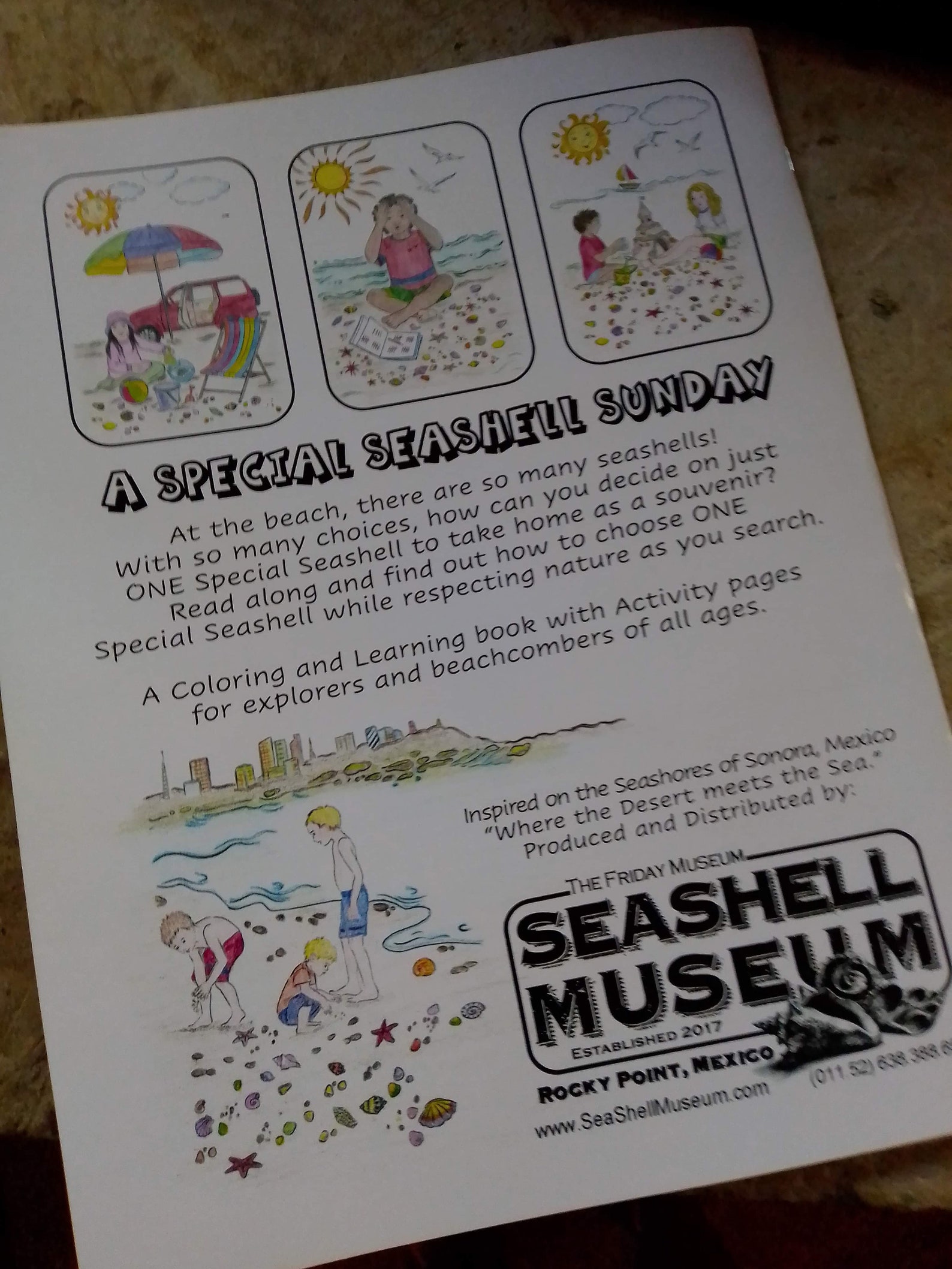 A Special Seashell Sunday Coloring and Activity Book for All Ages ...