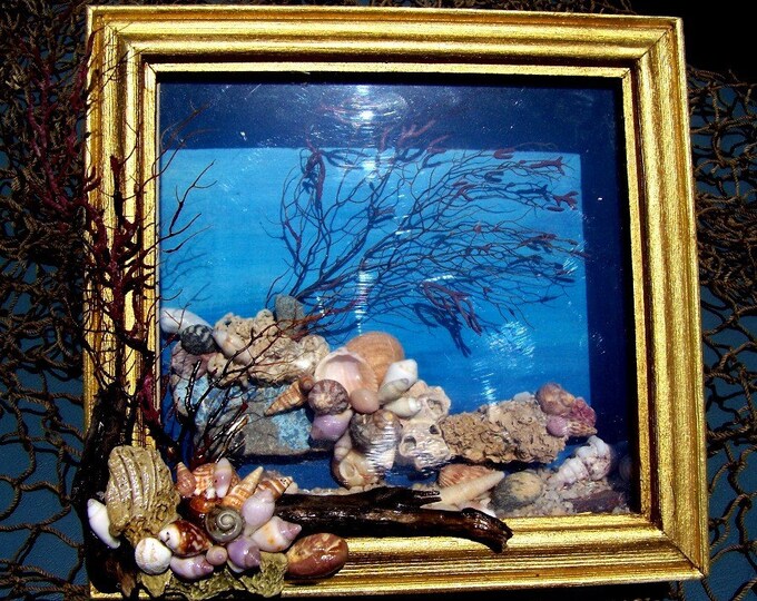 Seashell Collage Shadow Box Frame - Etsy