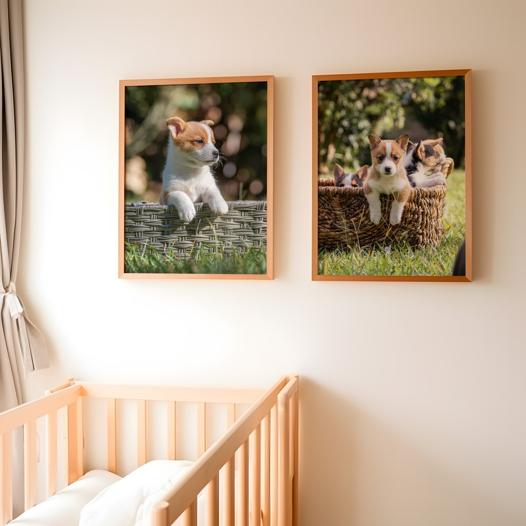 Corgi Puppies, Nursery Decor, Baby Room Prints, Photographs, Cute Wall ...