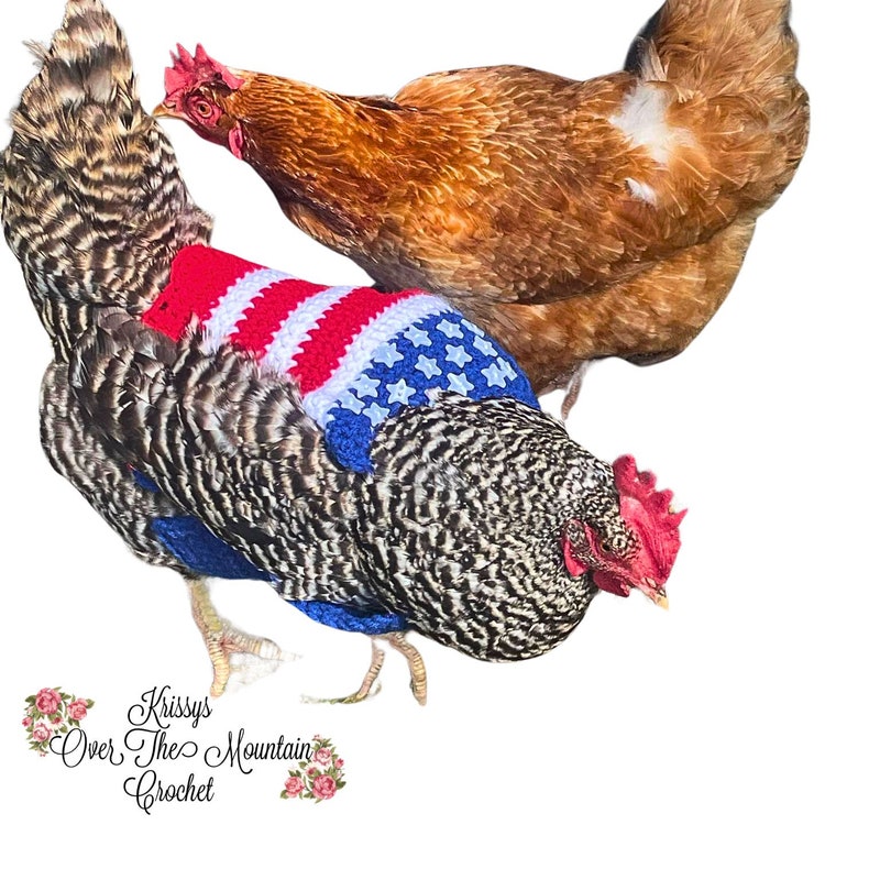 Chicken Stars Svg - Etsy