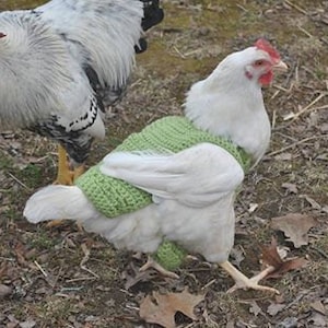 Crochet Pattern - School Girl Chicken Sweater - Crochet Chicken Saddle ...