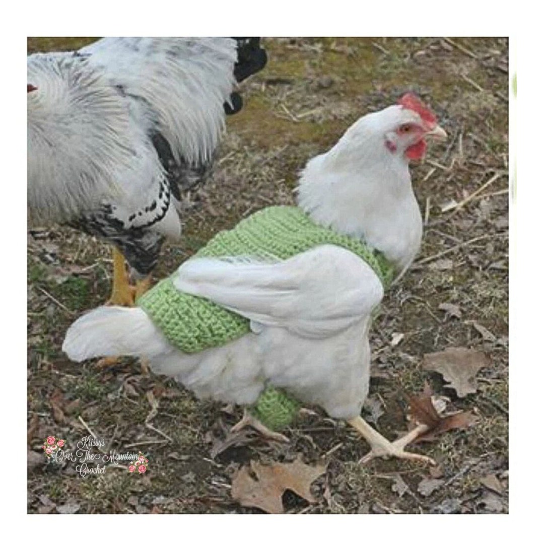 Ebook Chicken Sweater Crochet Patterns Ebook Chicken Saddle Flouncy ...