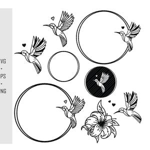 Hummingbird SVG File, Circle Framesvg, Hummingbird and Flowers Svg ...