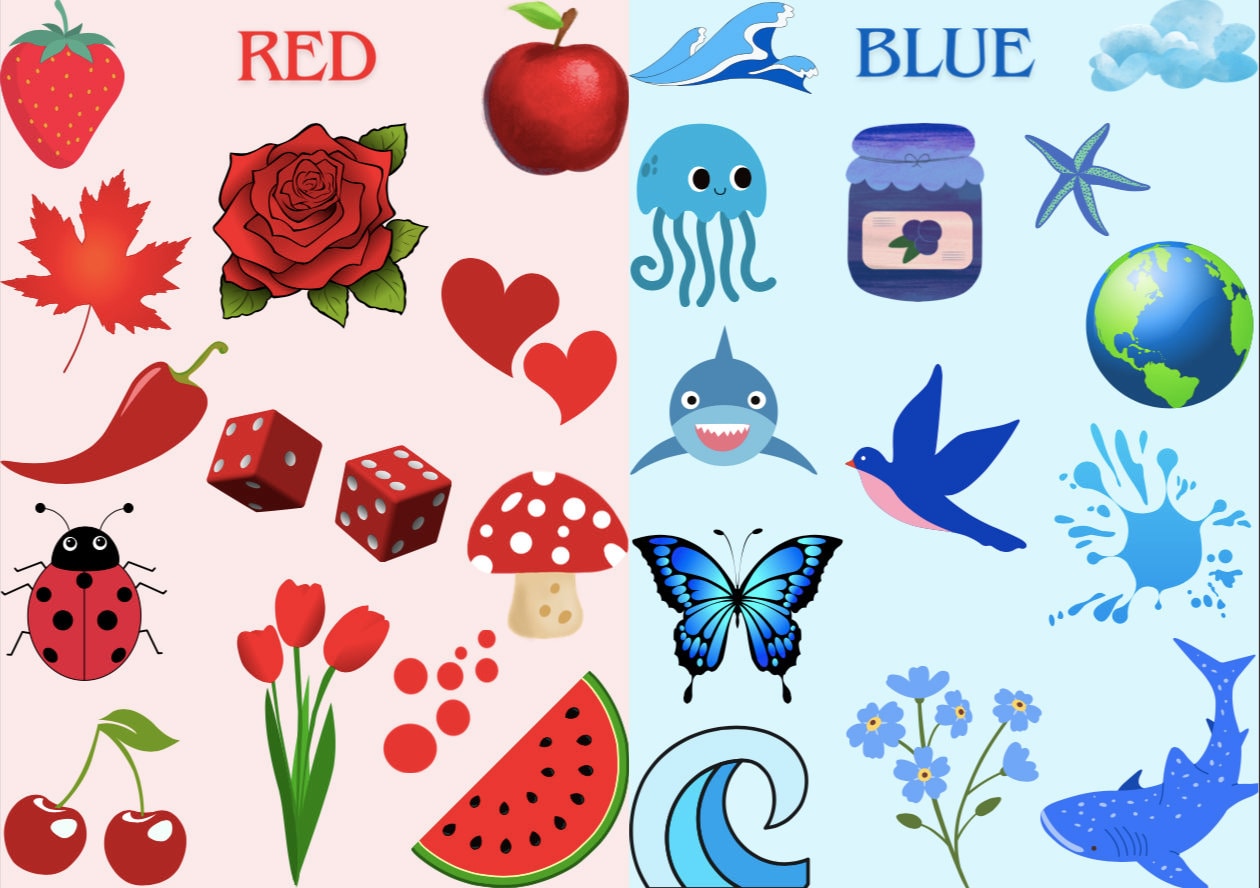 Know Your Colors for Kids - Etsy