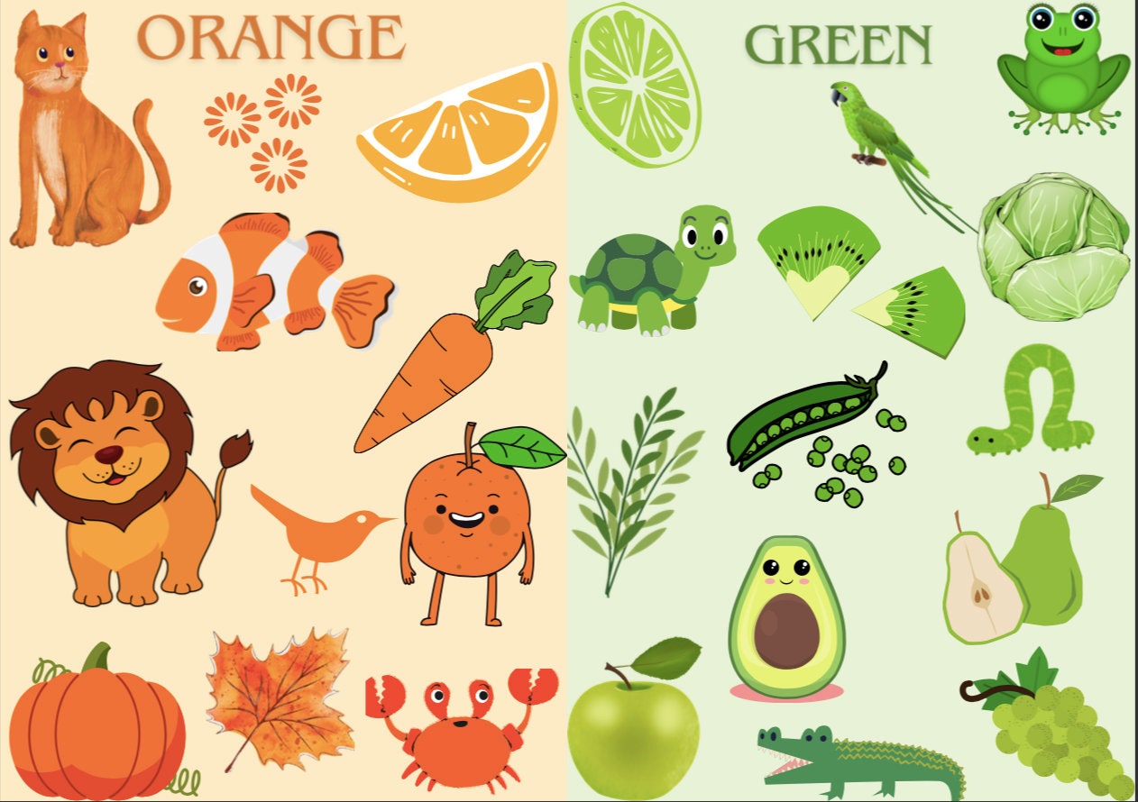 Know Your Colors for Kids - Etsy