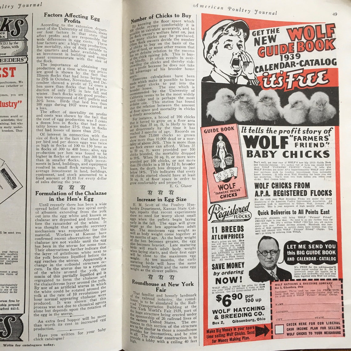 Vintage Chicken Breeding Raising Magazine American Poultry - Etsy