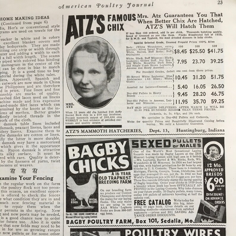 Vintage Chicken Breeding Raising Magazine American Poultry - Etsy