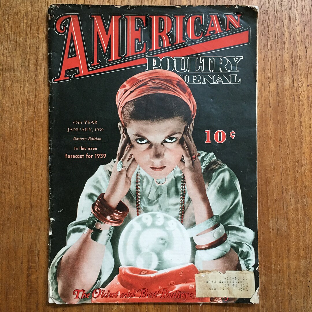 Vintage Chicken Breeding Raising Magazine American Poultry Journal ...