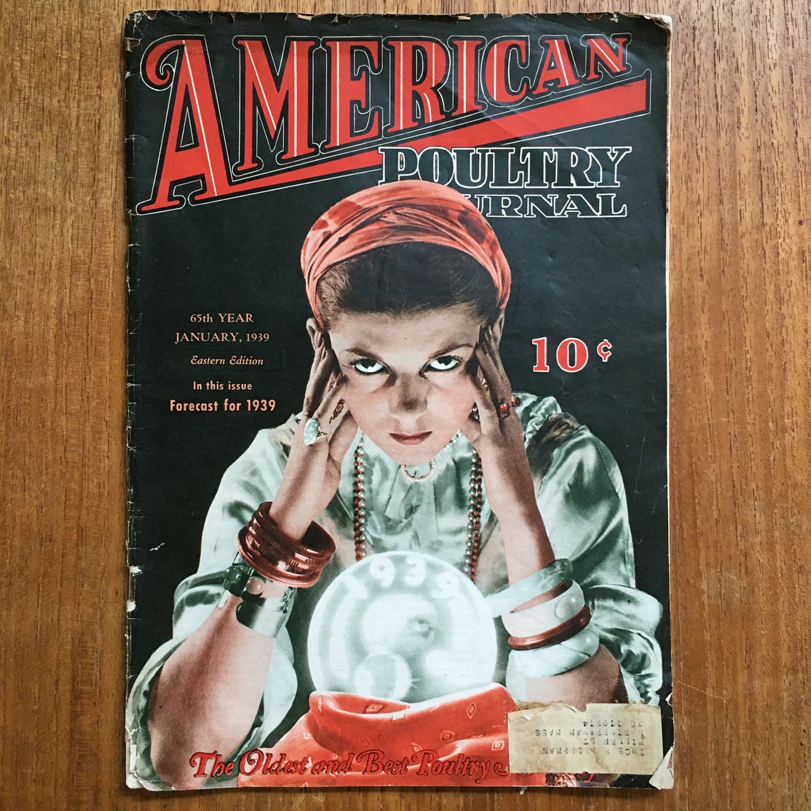 Vintage Chicken Breeding Raising Magazine American Poultry - Etsy