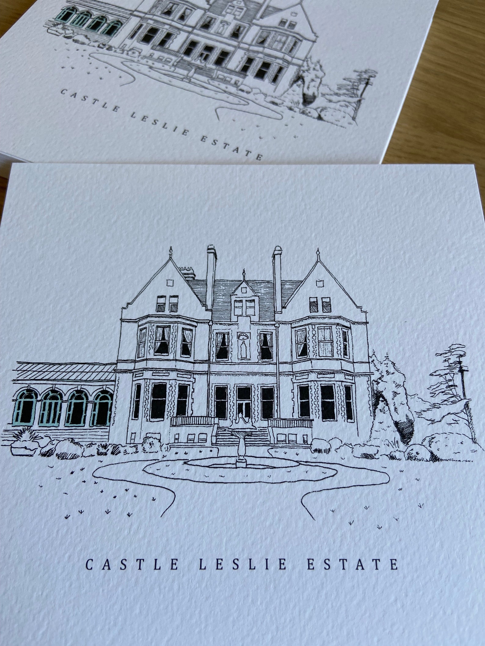 Castle Leslie Estate Illustration - Etsy