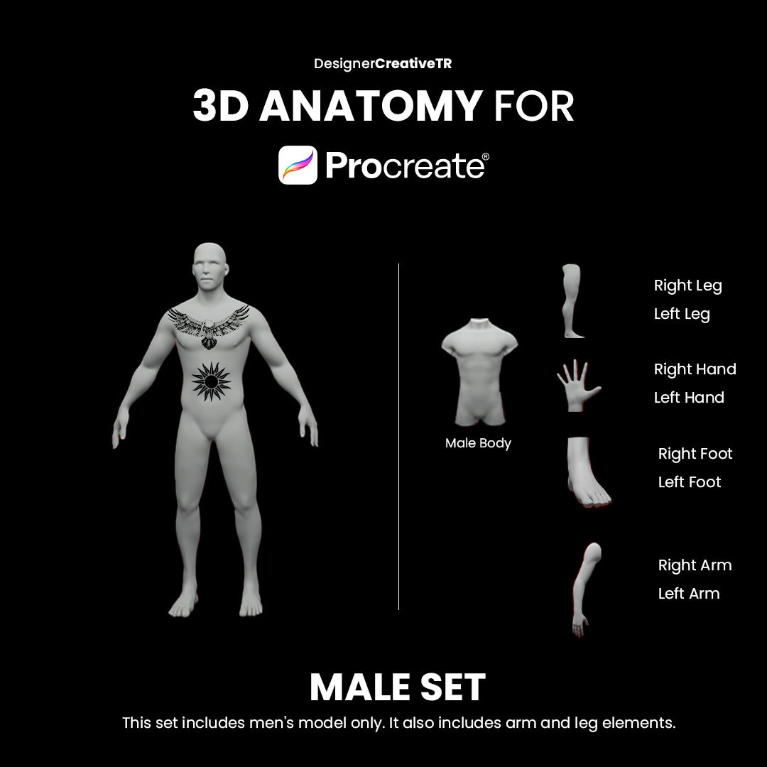 Procreate 3D Models, 3D Male Model, 3D Arm Model, 3D Leg Model, 3D ...
