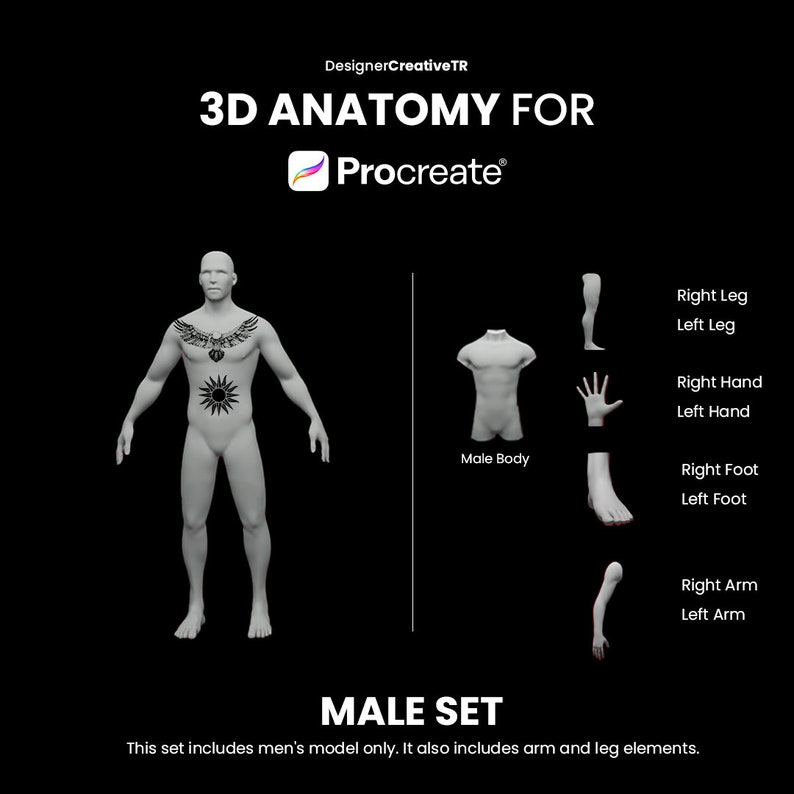 Procreate 3D Models, 3D Male Model, 3D Arm Model, 3D Leg Model, 3D ...