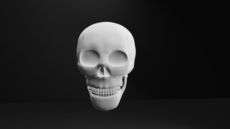 Procreate 3D Object Skull Model Tattoo Brush Witch Animal Skull Head ...