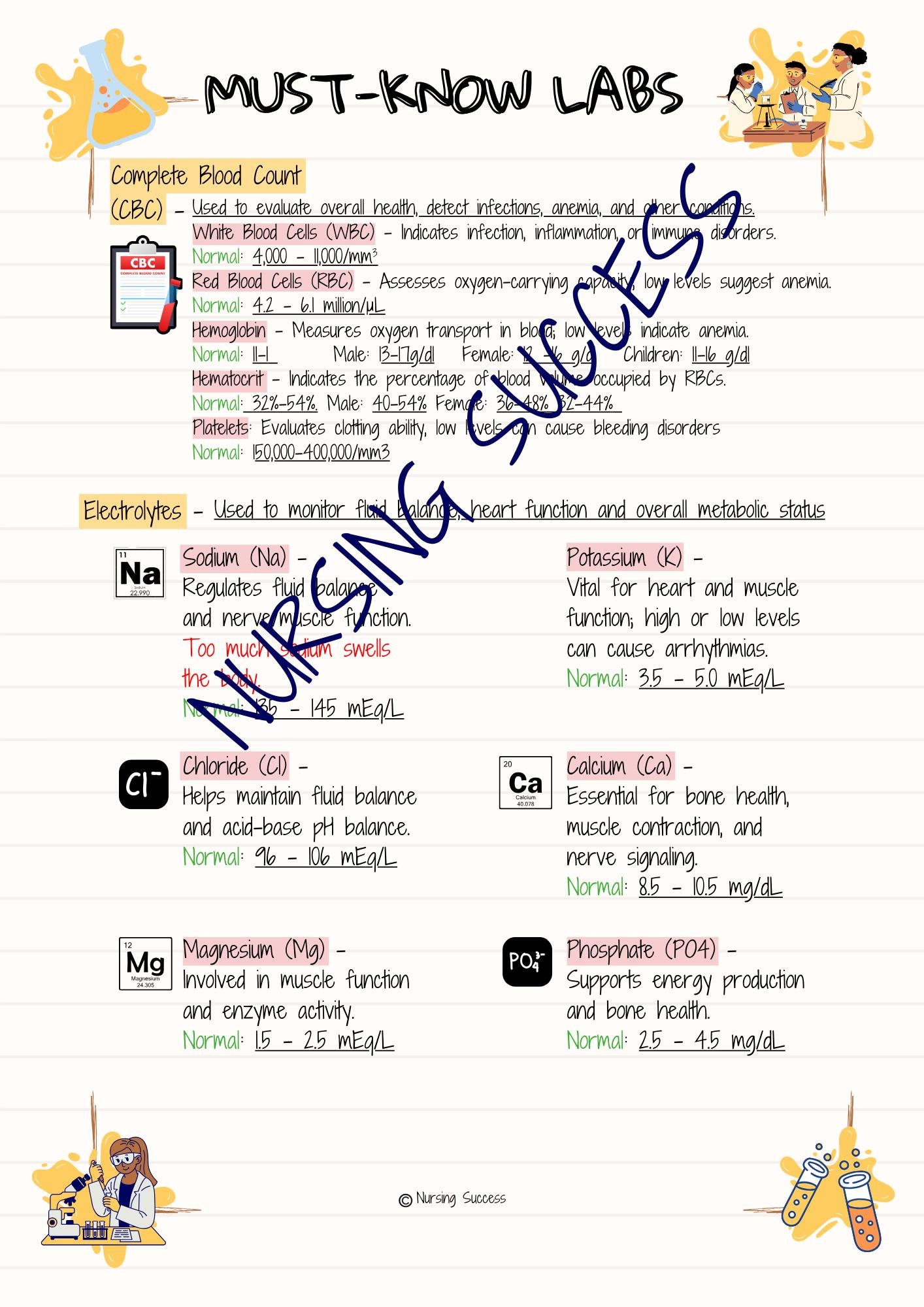 Nursing Study Guides, NCLEX Prep, Nursing School Notes, Nursing Must ...