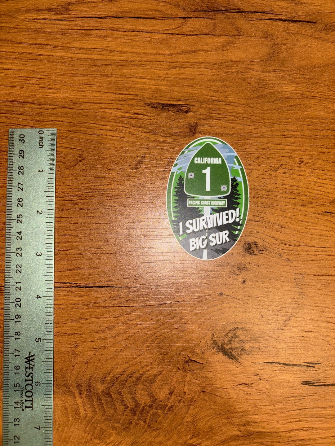 Big Sur I Survived Sticker - Etsy