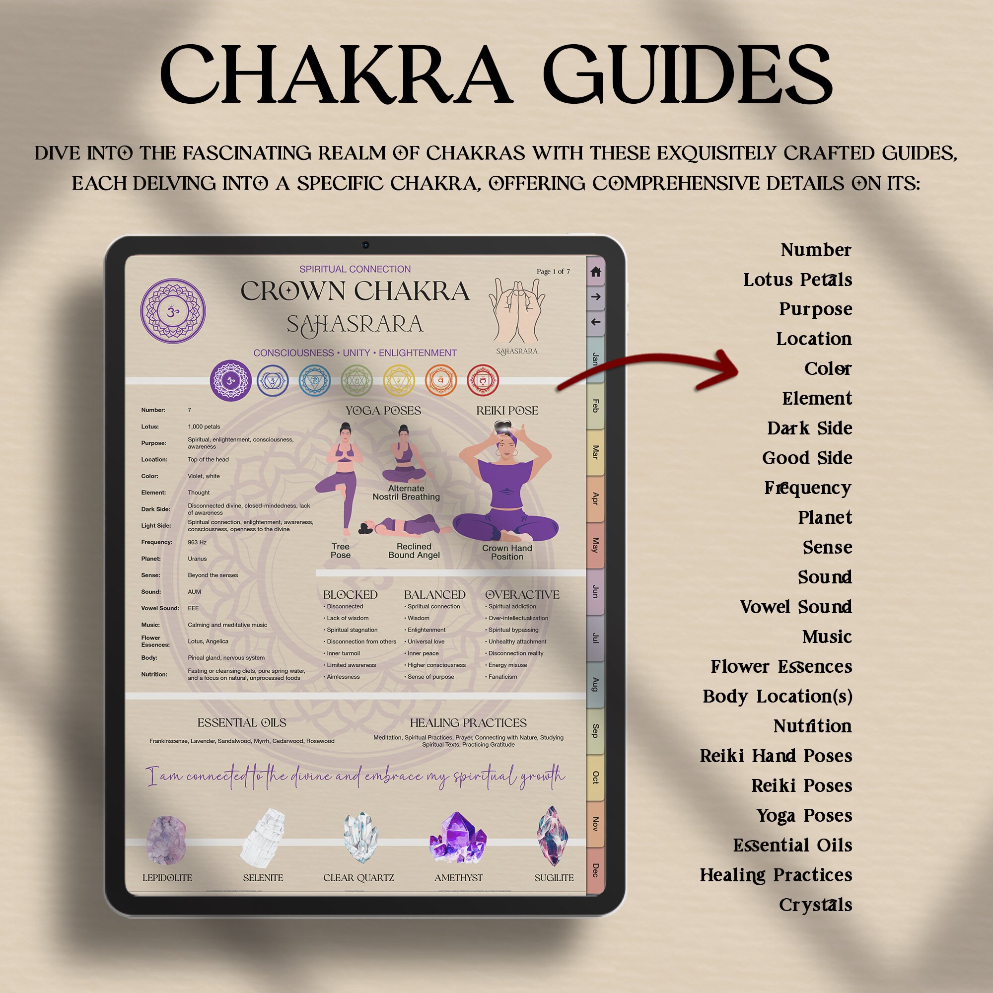 Digital Chakra Zenfolio, Chakra Themed Journal, Chakra Planner, Zen ...