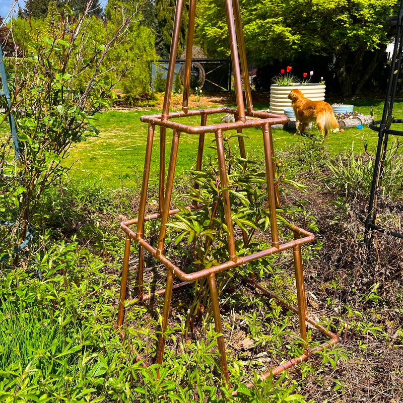 Ball Topiary Frame - Etsy