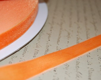 Thai Tropical Sweet Tangerine CITRUS TANGERINA 10 Fresh - Etsy