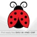 Stylish Ladybug Graphic Design | Instant Download | Red Black Vector ...