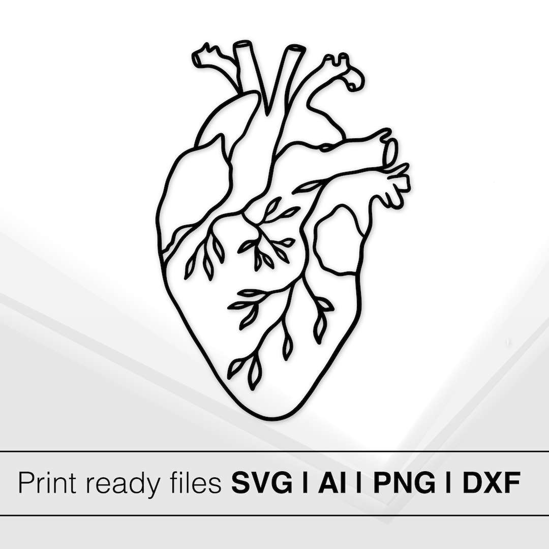 Anatomical Heart Outline Art | Instant Download | Heart Anatomy SVG ...