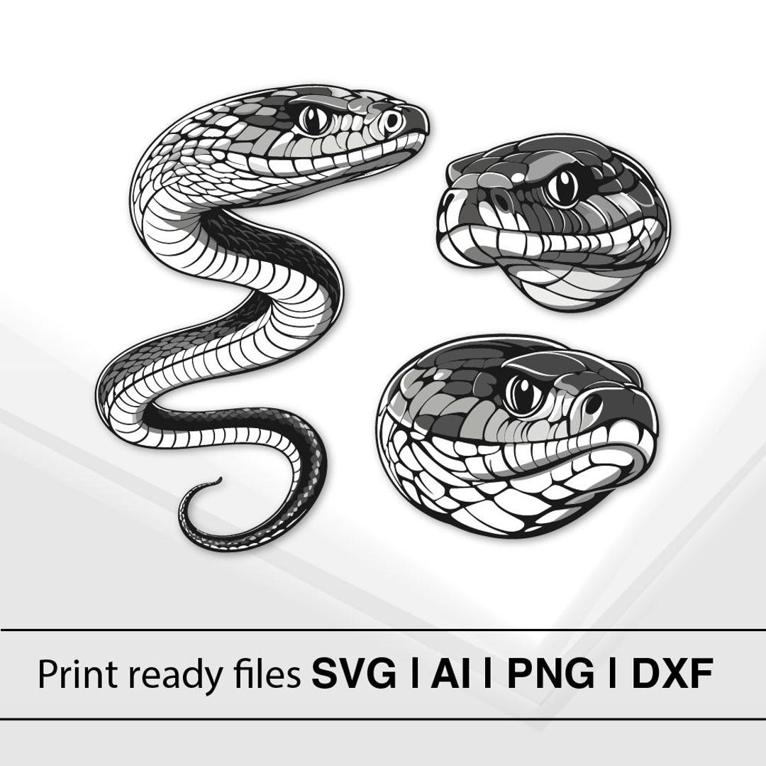 Snake Design Bundle | Instant Download | Snake SVG | Snake Head SVG ...