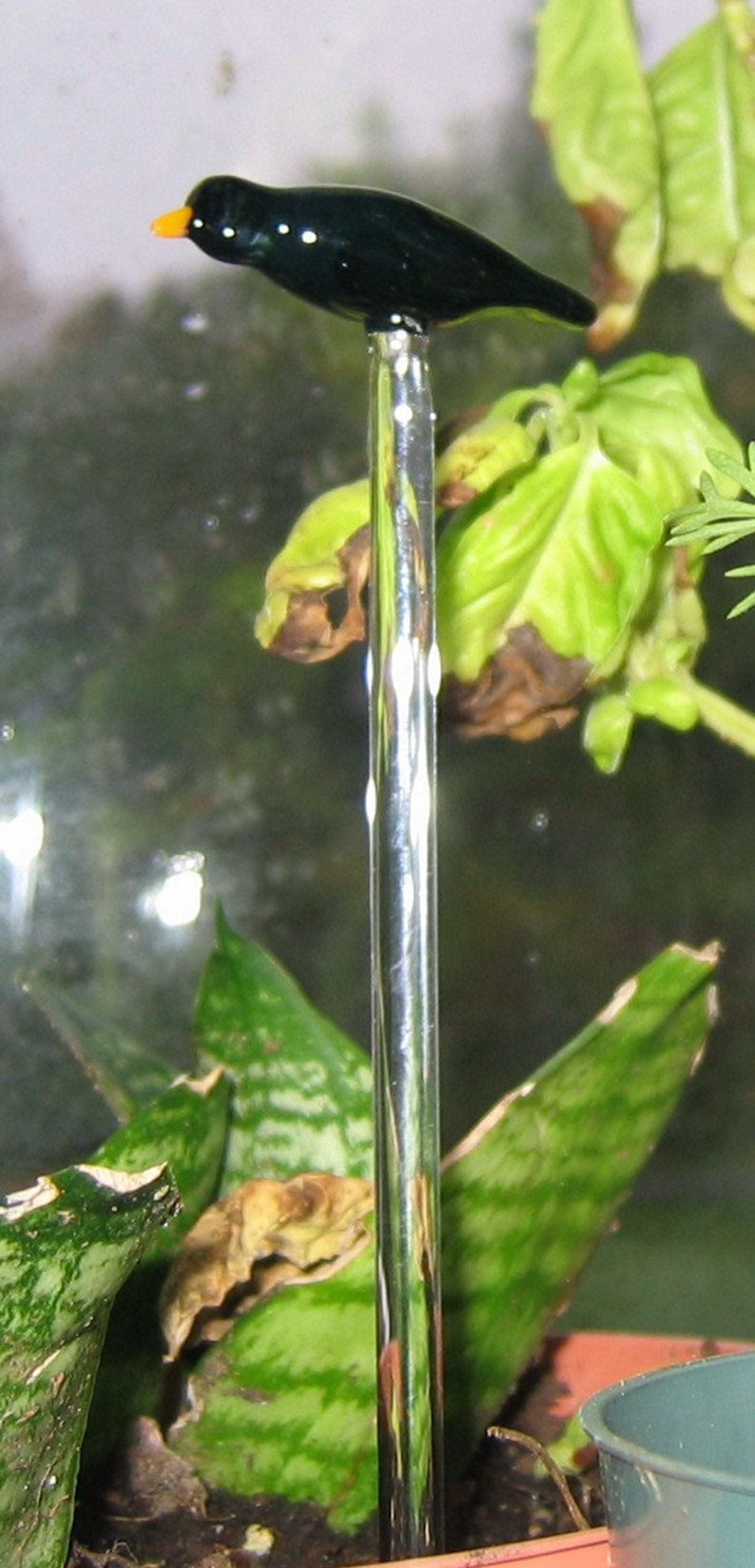 Black Crow Plant Sticks Hand Sculpted by Jenn Goodale | Etsy