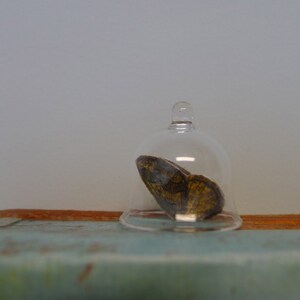 MINIATURE Glass Bell Jar Hand Blown and Sculpted by Jenn Goodale - Etsy