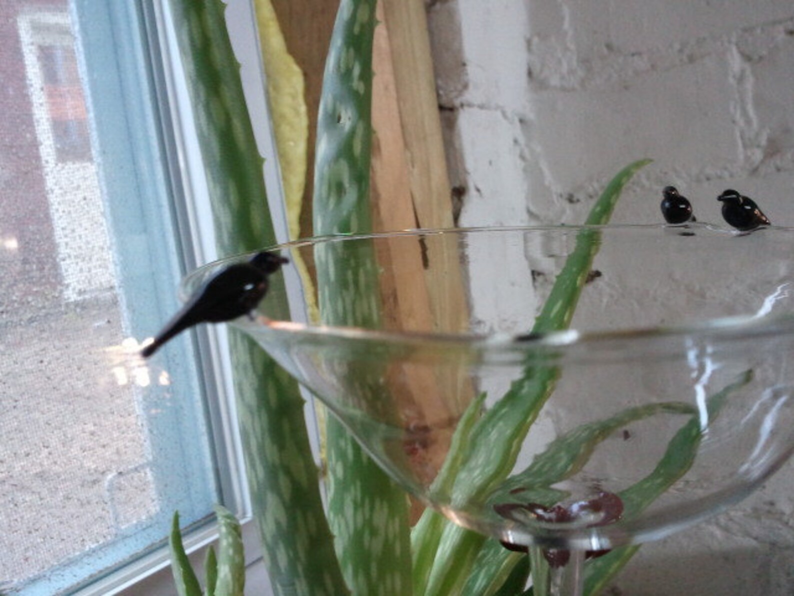 Bird Bath Watering Funnel for Plants Hand Blown and Sculpted - Etsy