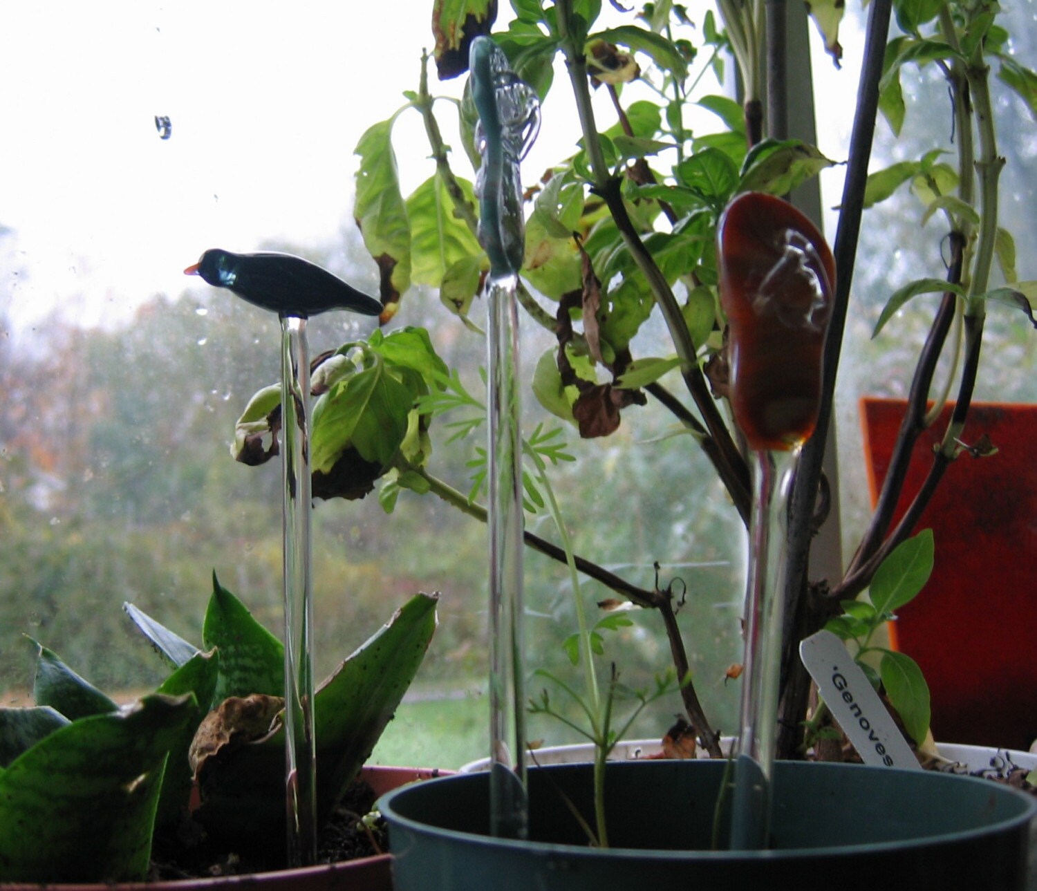 Black Crow Plant Sticks Hand Sculpted by Jenn Goodale | Etsy