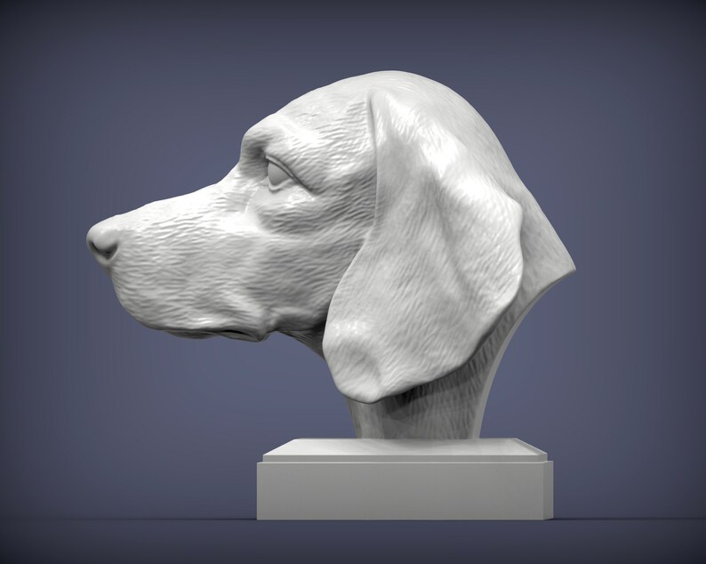 3D Printed Beagle Bust: Pet Memorial Ornament, Dog Lover Gift - Etsy