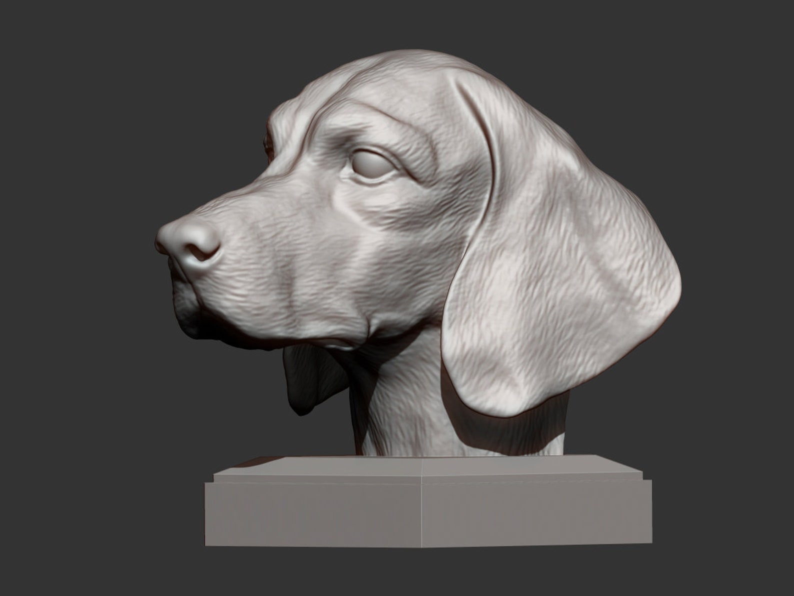 3D Printed Beagle Bust: Pet Memorial Ornament, Dog Lover Gift - Etsy