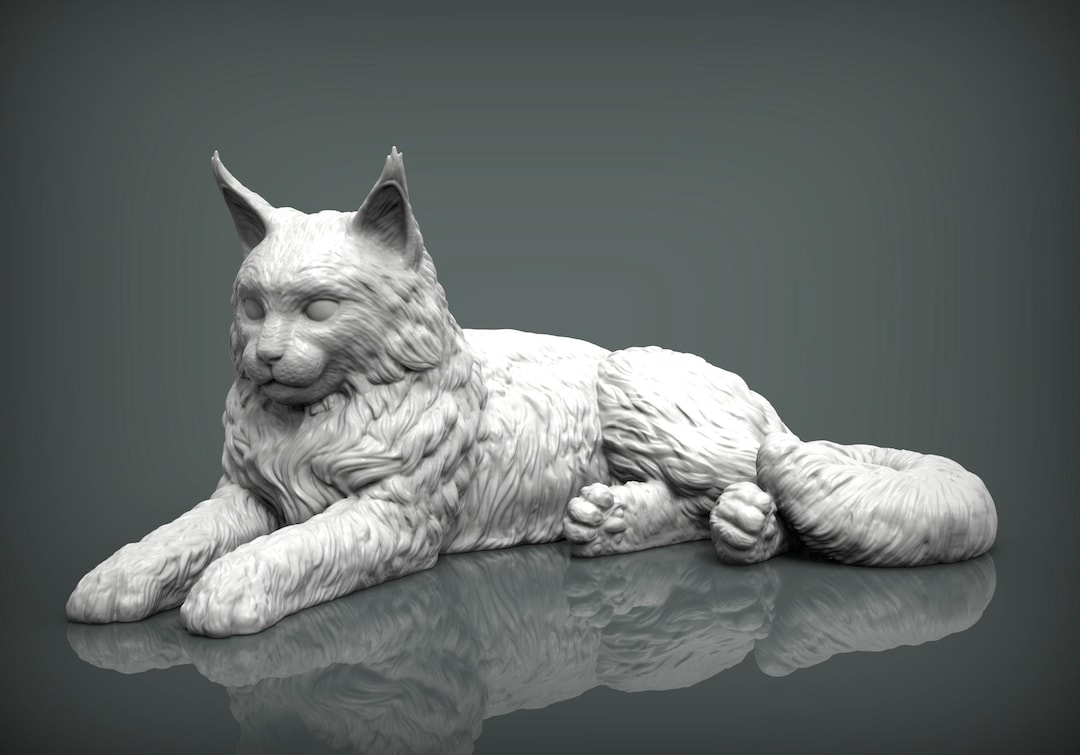 3D Printed Maine Coon Cat Figurine – Memorial Keepsake Decor - Etsy