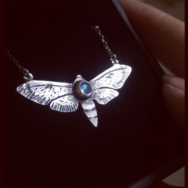 Hawk Moth - Etsy