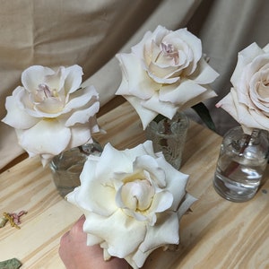 How to Reflex Roses DIY Guide for Your Bridal Bouquet, Wedding Flowers ...