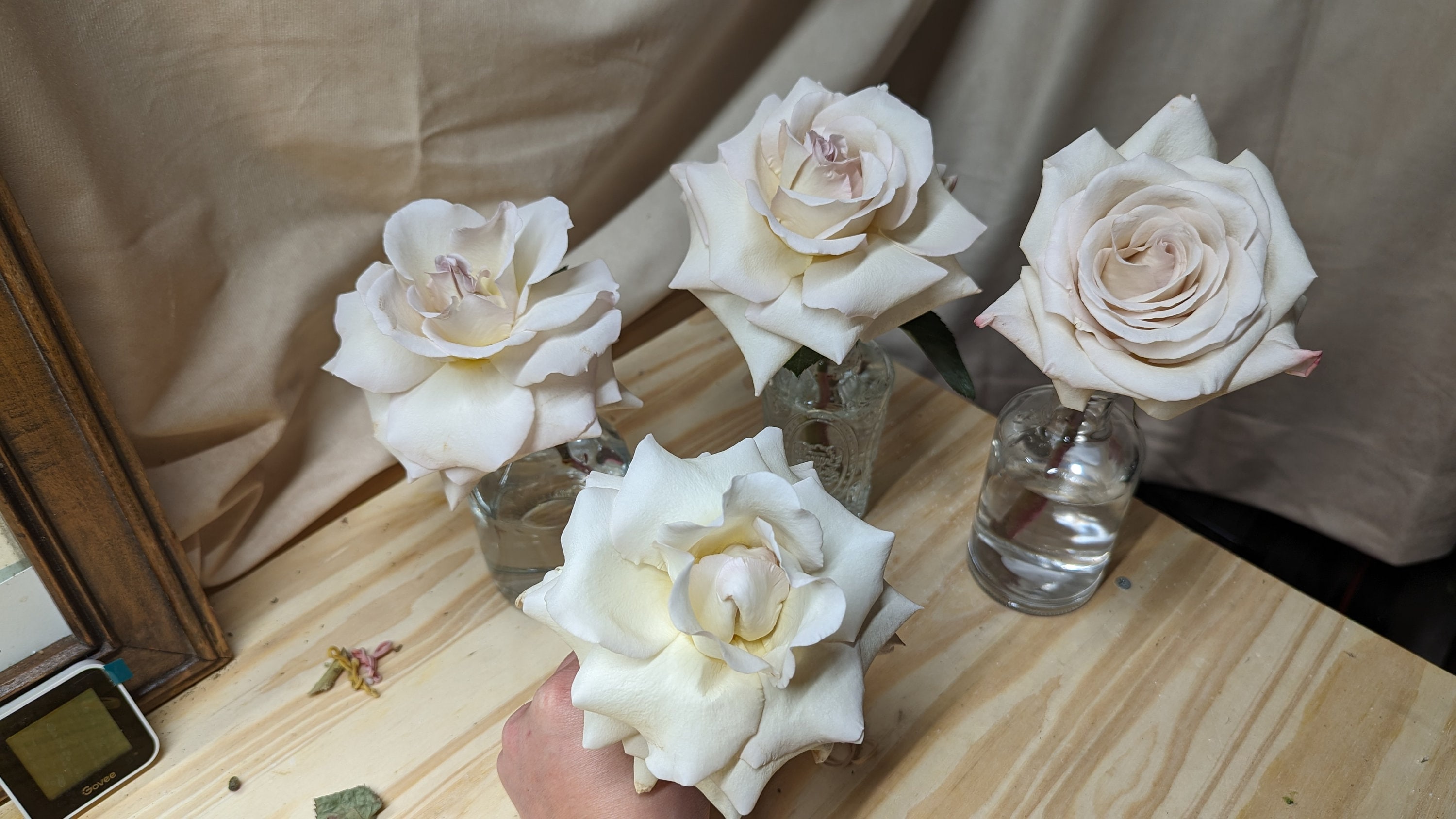 How to Reflex Roses DIY Guide for Your Bridal Bouquet, Wedding Flowers ...