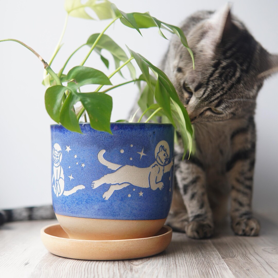 Space Cats Planter - Plant Pot With Drainage + Saucer - Etsy