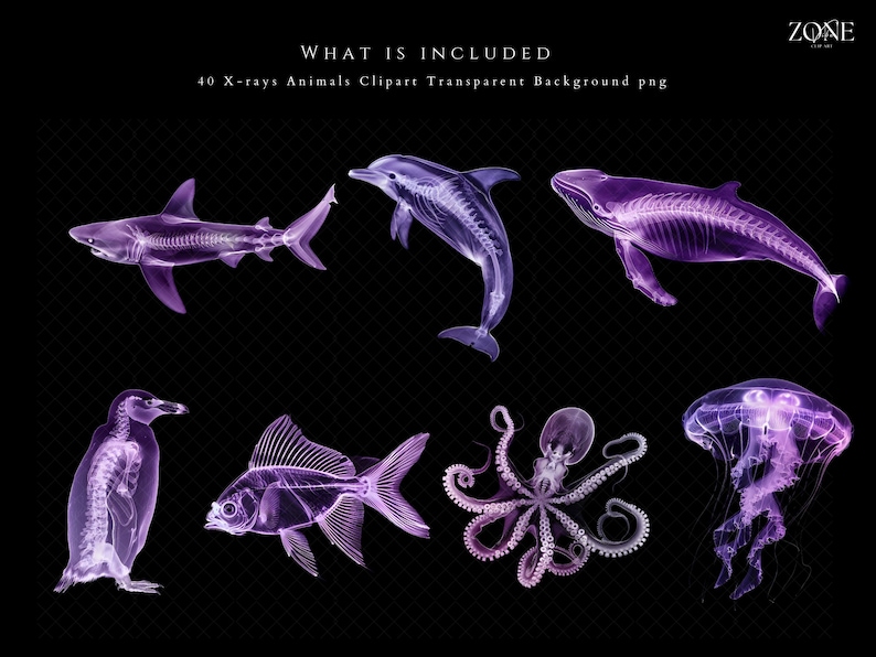 Purple X-ray Animals Clipart Pack Radiology Tech Animals Bones ...