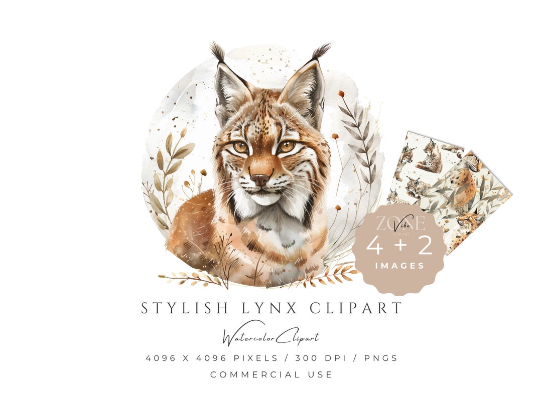 Lynx Clipart and Canada Lynxes Digital Paper PNG Wild Cat Clip Art ...