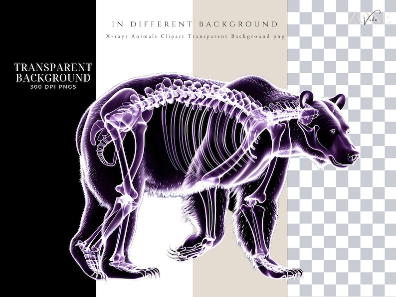 Purple X-ray Animals Clipart Pack Radiology Tech Animals Bones ...